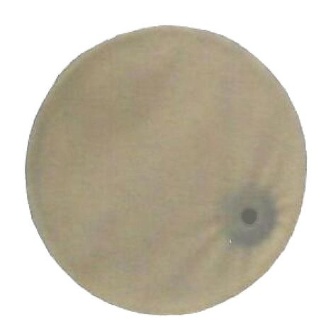 Safe n Simple One-Piece Stoma Cap