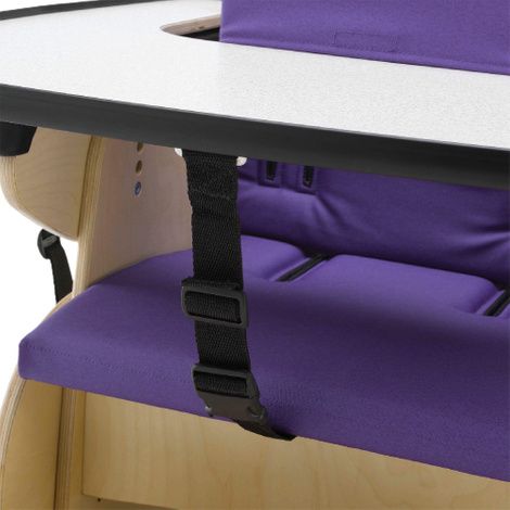 Smirthwaite Tray Retaining Strap